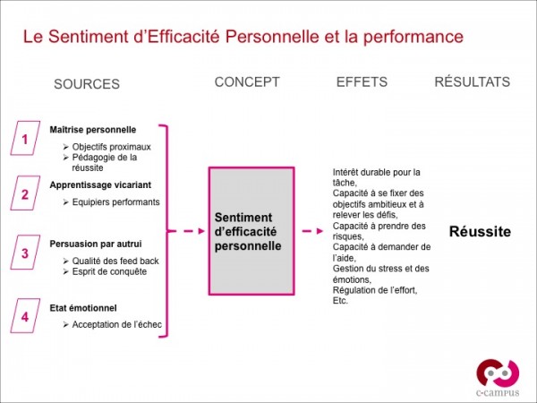 SEP & performance - Le blog de C-Campus