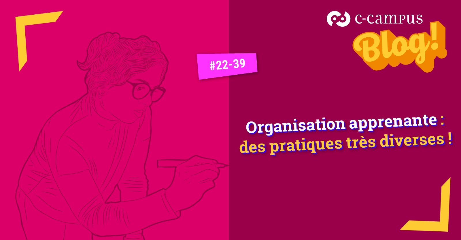 Organisation apprenante : des pratiques très diverses ! - Le blog de C-Campus